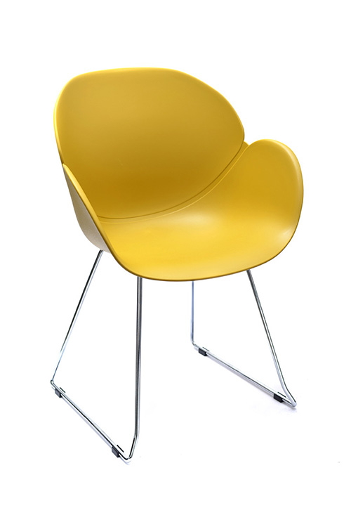 FL-05-GINGER – Grupo Aika